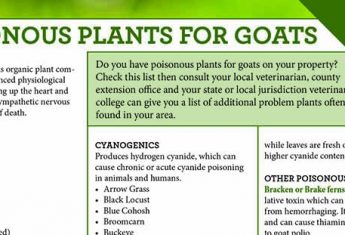 Goat Notes — Goat Care Cheat Sheets for Backyard Goats Members